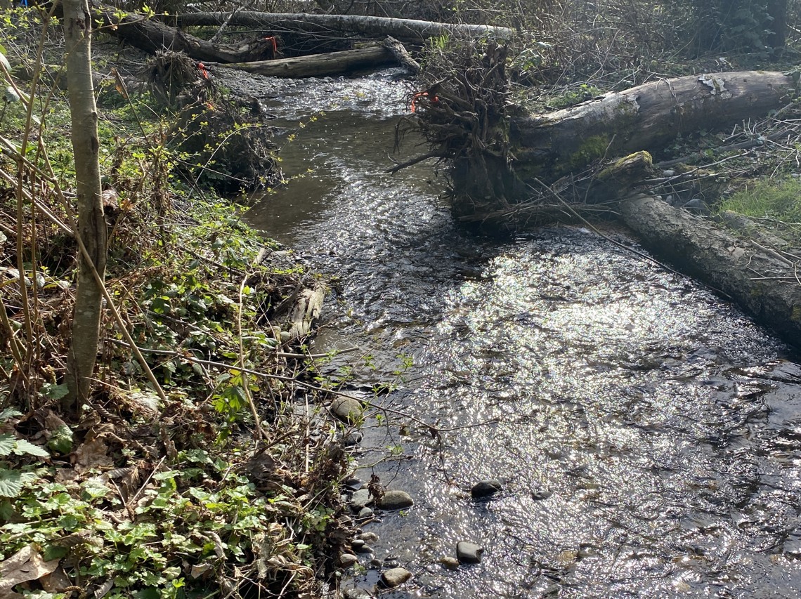 Snohomish Marine Resources Committee