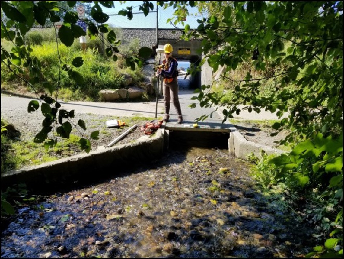 Snohomish Marine Resources Committee