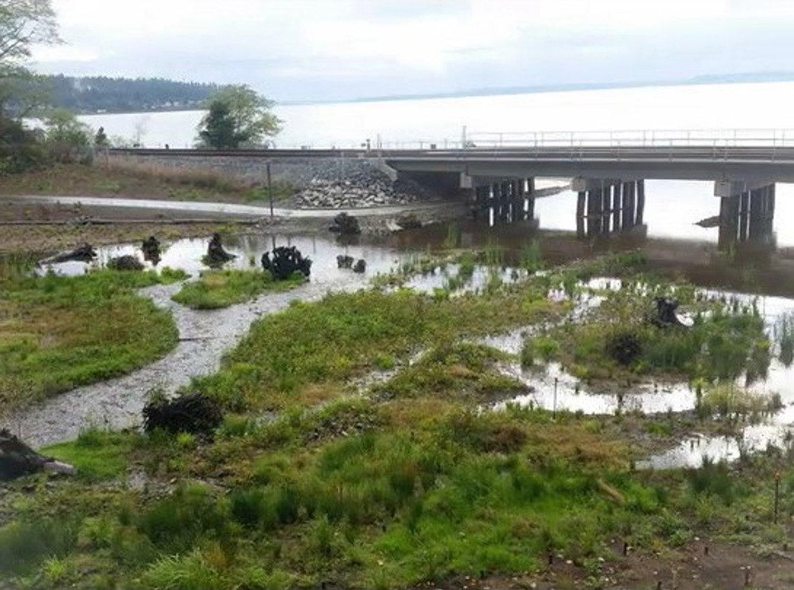 Snohomish Marine Resources Committee